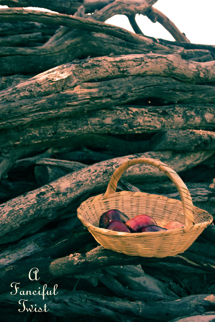 A Halloween Party on the Way.... - A Fanciful Twist