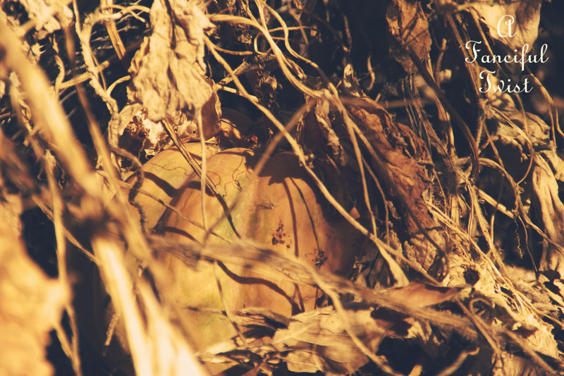 A Halloween Party on the Way.... - A Fanciful Twist