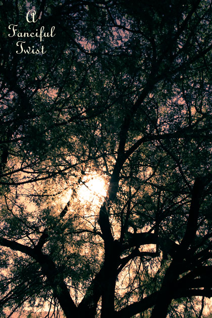 A Halloween Party on the Way.... - A Fanciful Twist